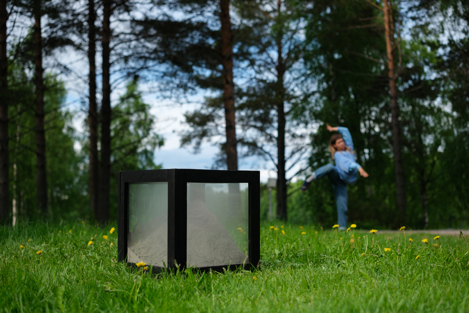 Phase along – ELISA SAKKO